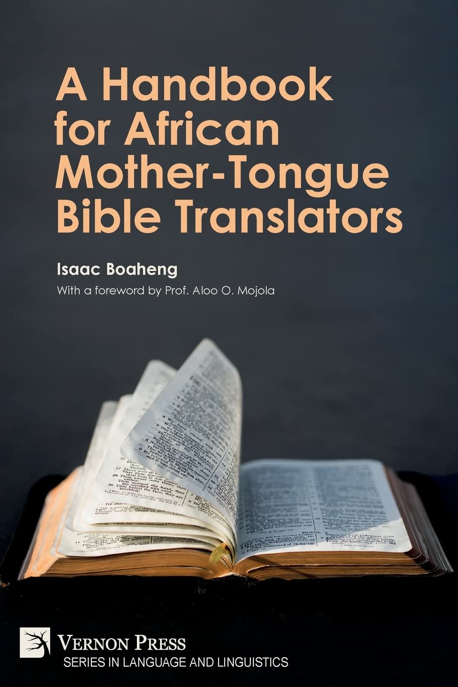 A Handbook for African Mother-Tongue Bible Translators (Language and ...