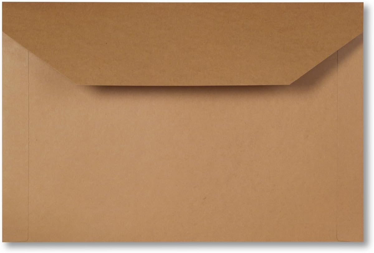 Amazon.com : ALL-STATE LEGAL File Envelope, Legal Size, Heavyweight ...