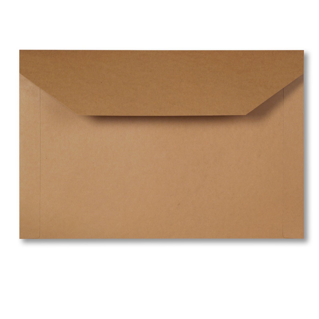 Amazon.com : ALL-STATE LEGAL File Envelope, Legal Size, Heavyweight ...