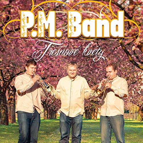 Amazon.com: Best of PM BAND [Explicit] : P.M. Band: Digital Music