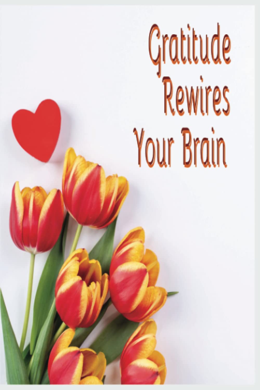 Gratitude Rewires Your Brain Tad Midnight Books