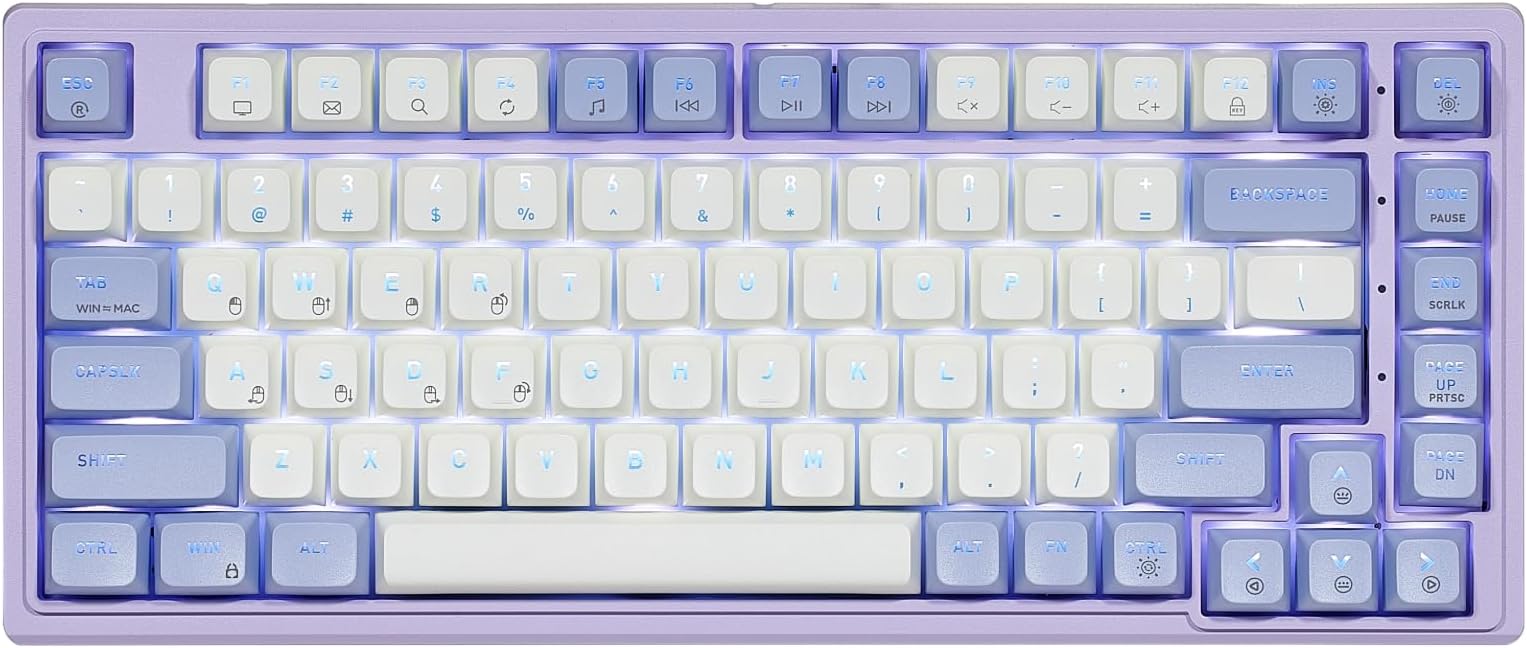 Hexgears Purple Rain M2 Wired TKL Mechanical Gaming Keyboard, Pre-Lubed ...