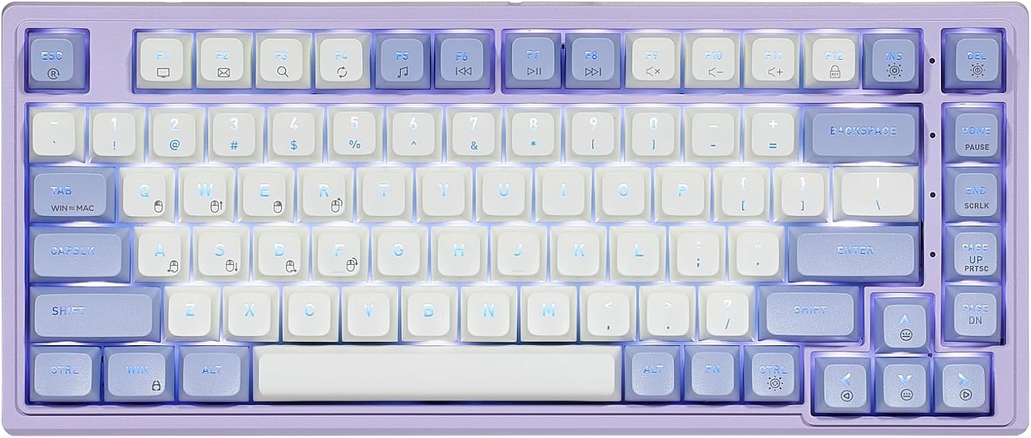 Amazon.com: Hexgears Purple Rain M2 Wired TKL Mechanical Gaming ...