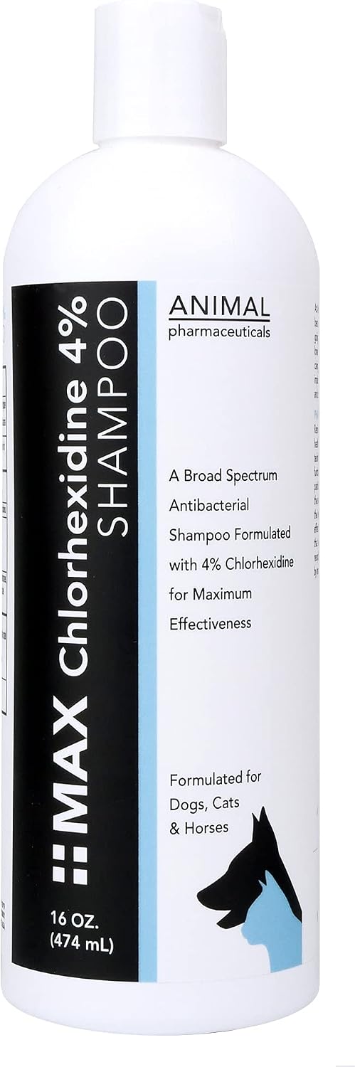 Animal Pharmaceuticals MAX Chlorhexidine (4%) Medicated Shampoo ...