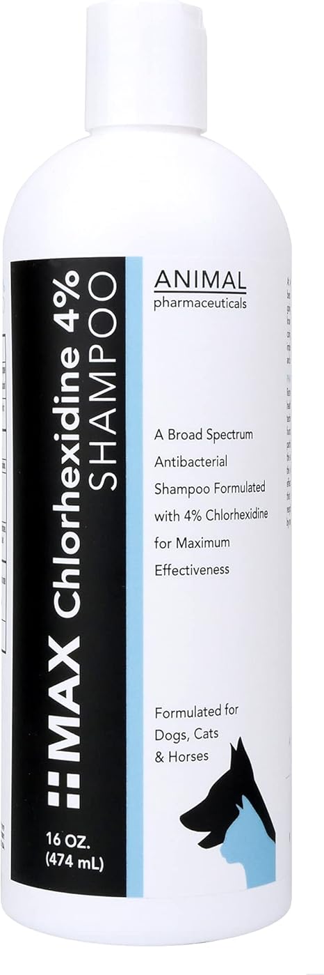 Animal Pharmaceuticals MAX Chlorhexidine (4%) Medicated Shampoo ...