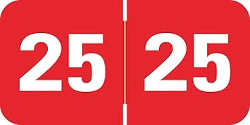 Amazon.com : 2025 Year Labels, Doctor Stuff 2025 Chart Stickers, Red ...