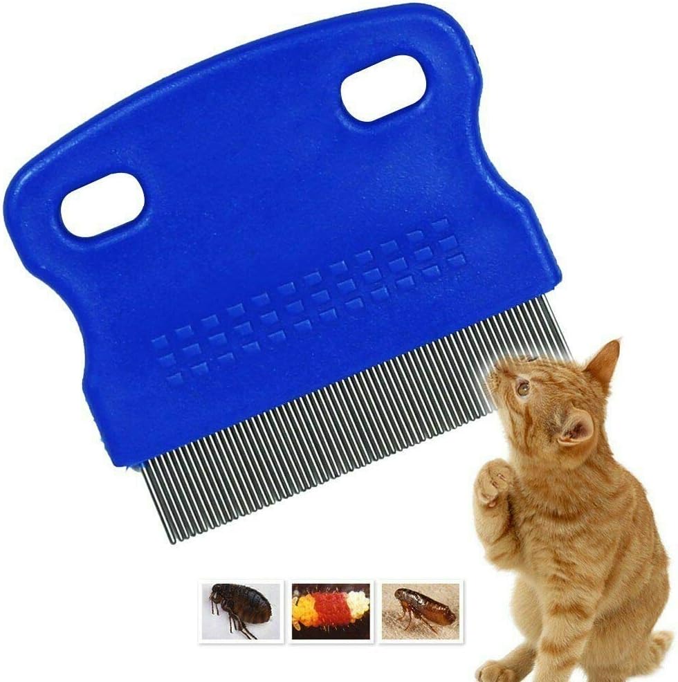 Buy Pet Flea Comb with Stainless Steel Fine Teeth (Flea Comb - Small ...