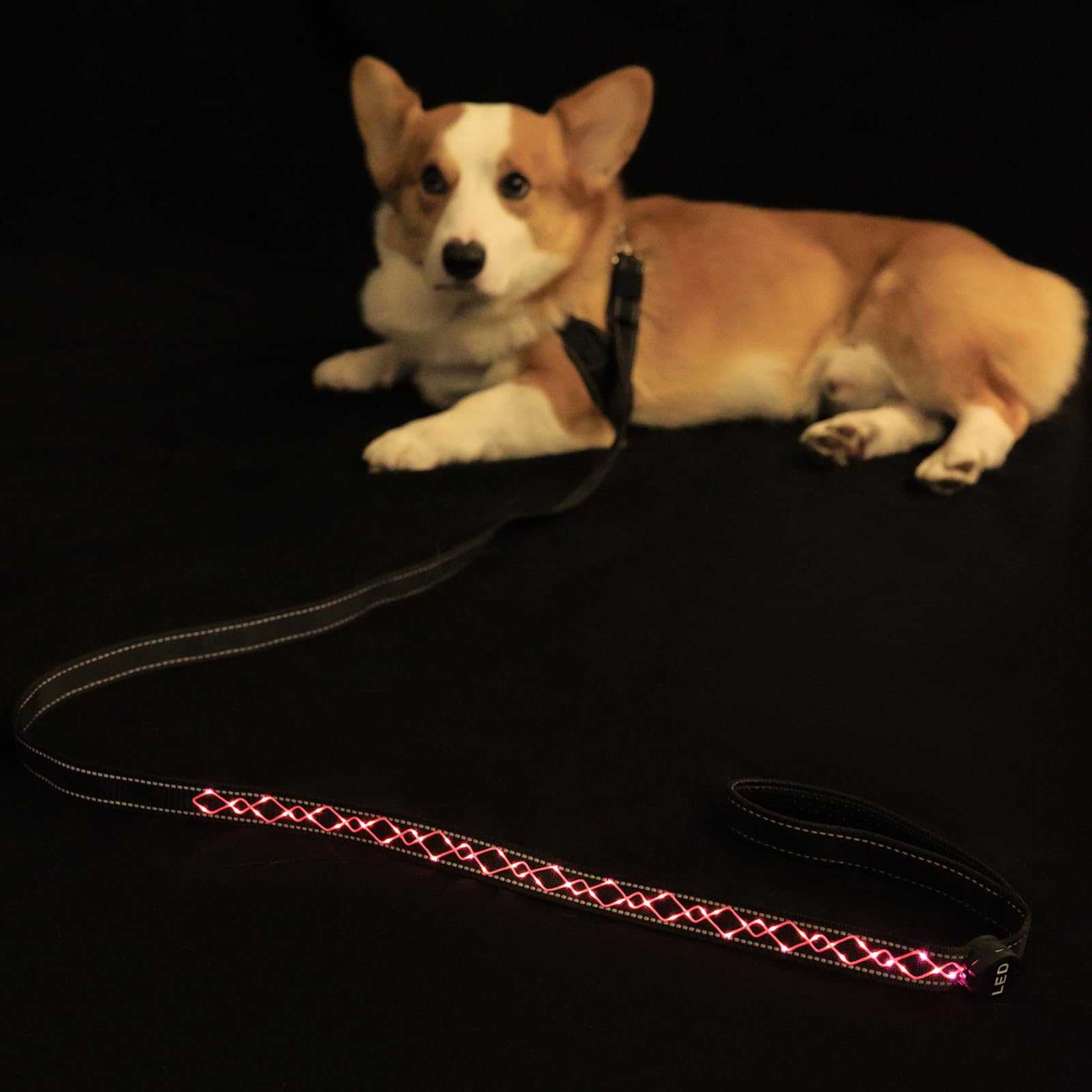 Snapklik.com : LED Dog Leash,Rechargeable Nylon Light Up Leash For ...