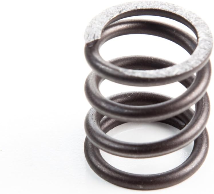 Amazon.com : Briggs & Stratton 26826 Valve Spring Replaces 555553 ...