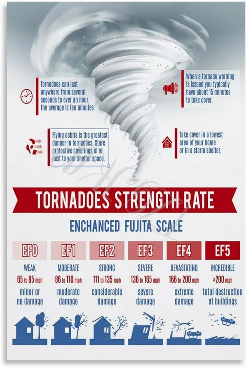 Amazon.com: DFSUYZ Tornado And Hurricane Infographics Poster Natural ...
