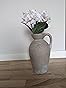 Amazon.com: Cloudroot Rustic Ceramic Farmhouse Vase With Handle ...