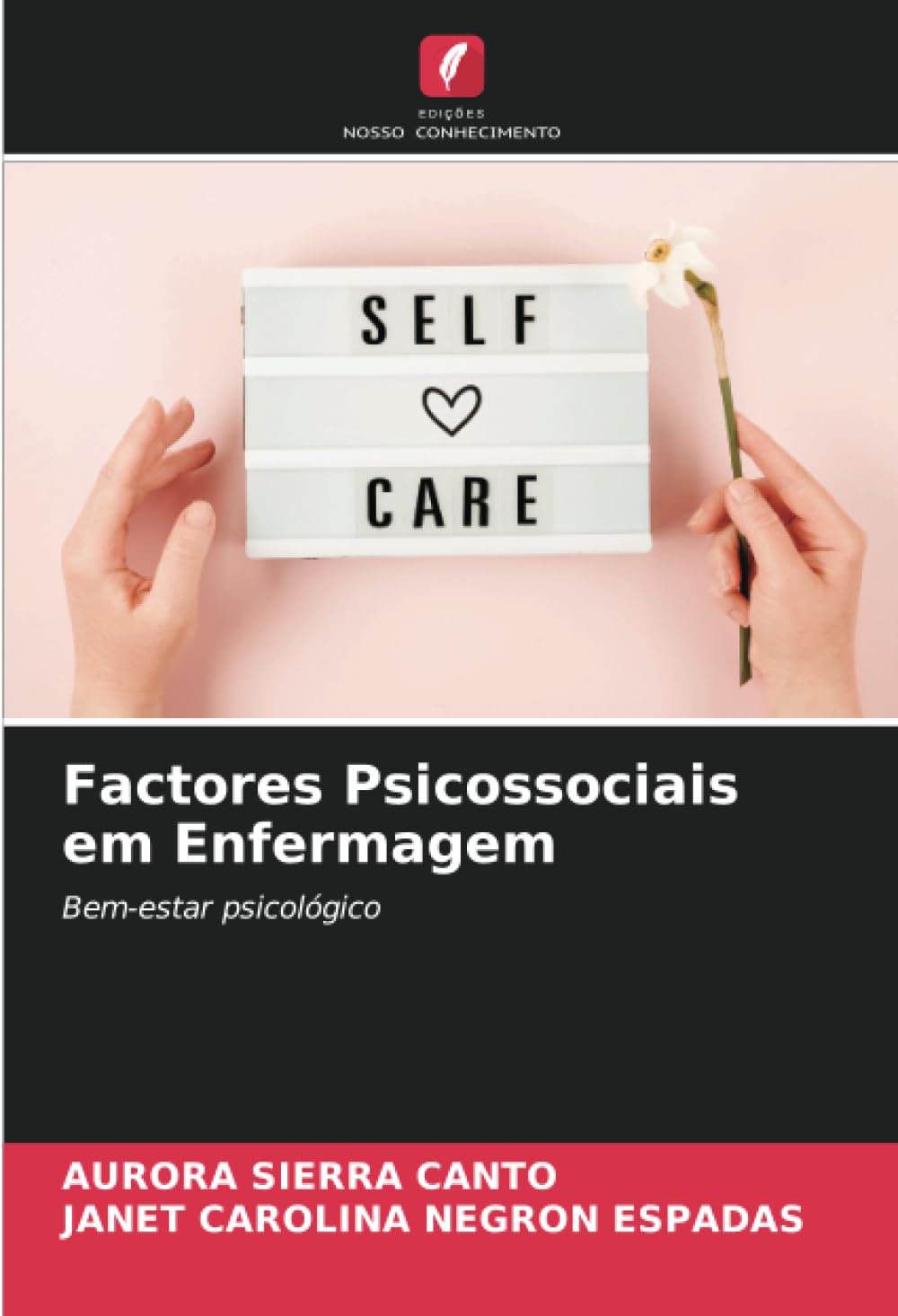 Factores Psicossociais em Enfermagem: Bem-estar psicológico: Amazon.co ...