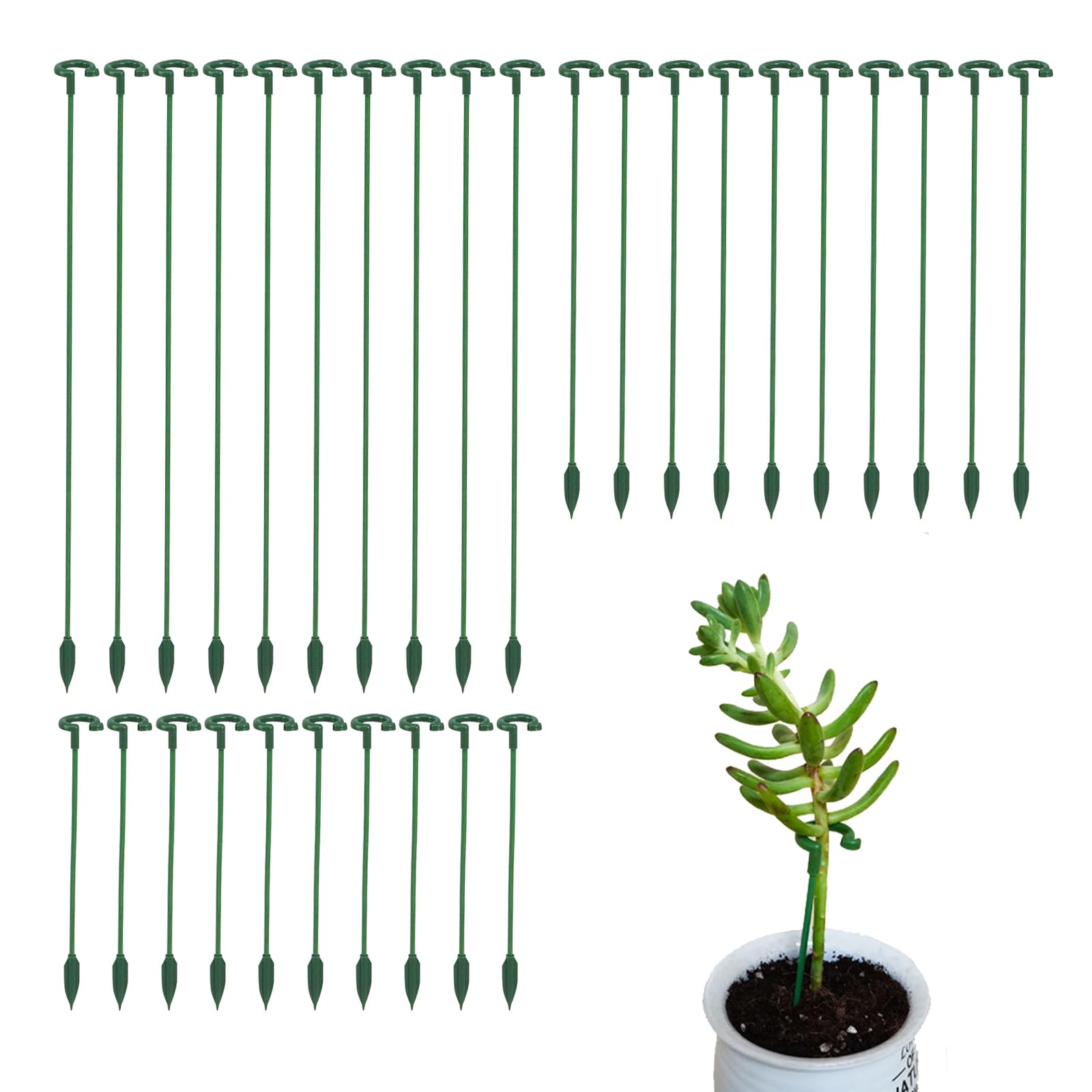 Amazon.com : Ruksifg Pack of 30 Small Plant Stakes for Indoor Plants 3 ...