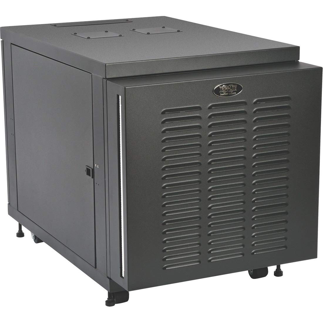 Amazon.com: Tripp Lite 12U Rack Enclosure Server Cabinet for Harsh ...