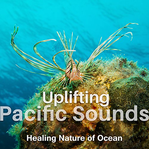Play Uplifting Pacific Sounds: Healing Nature of Ocean - Top Mindful ...