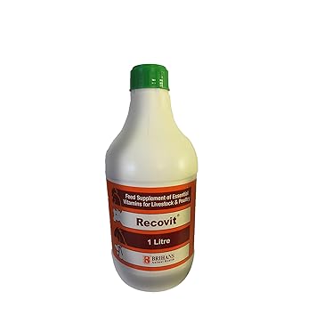 Brihans Laboratories Animal Health RECOVIT | Multivitamins Oral Liquid ...