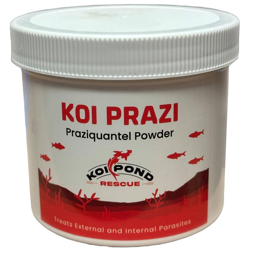 Koi Prazi 50 Grams Praziquantel Powder For Pond And Aquarium ...