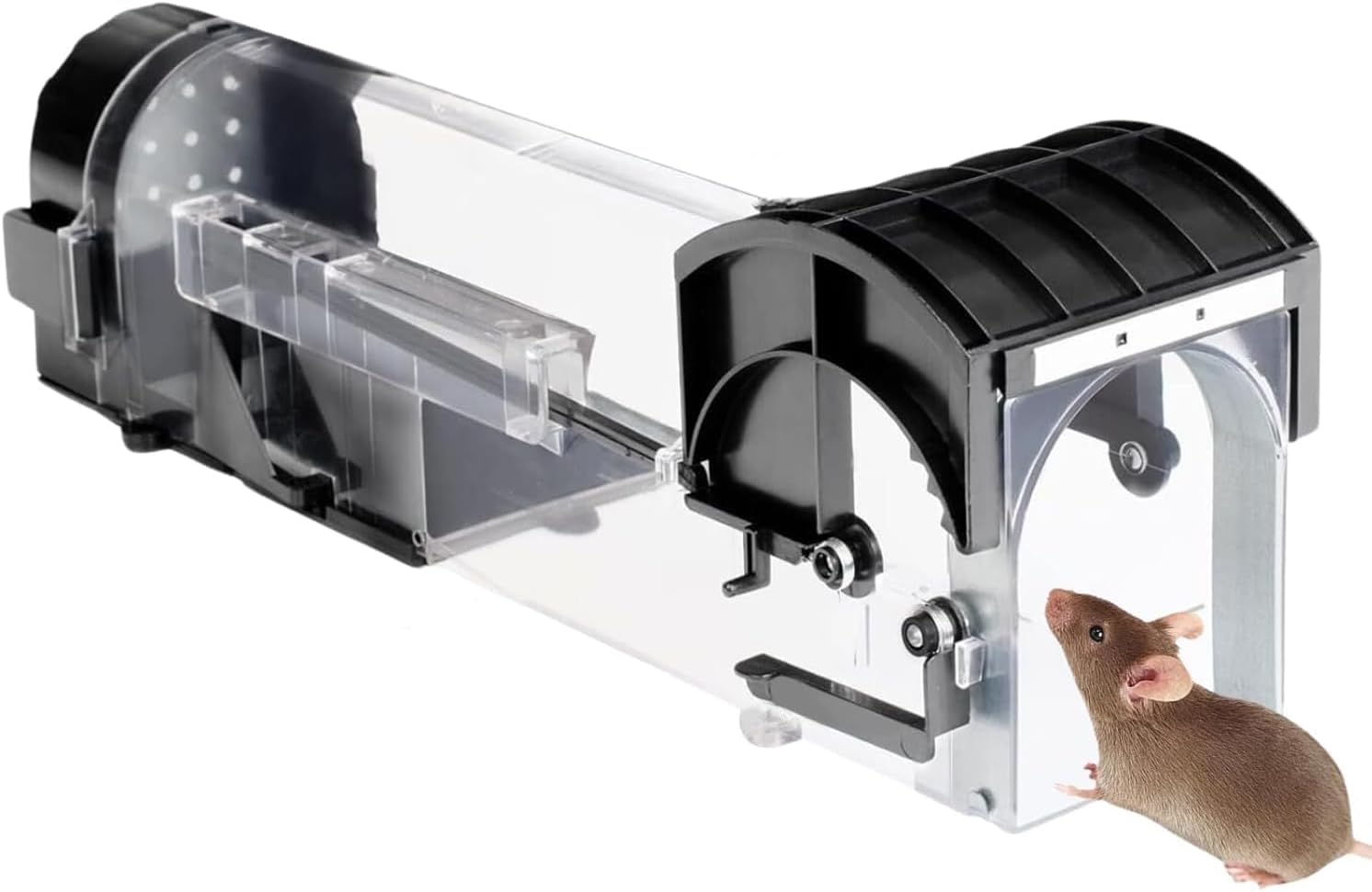 HASTHIP® Mouse Trap Cage Humane - 27CM Rat Trap Cage for Home - Self ...