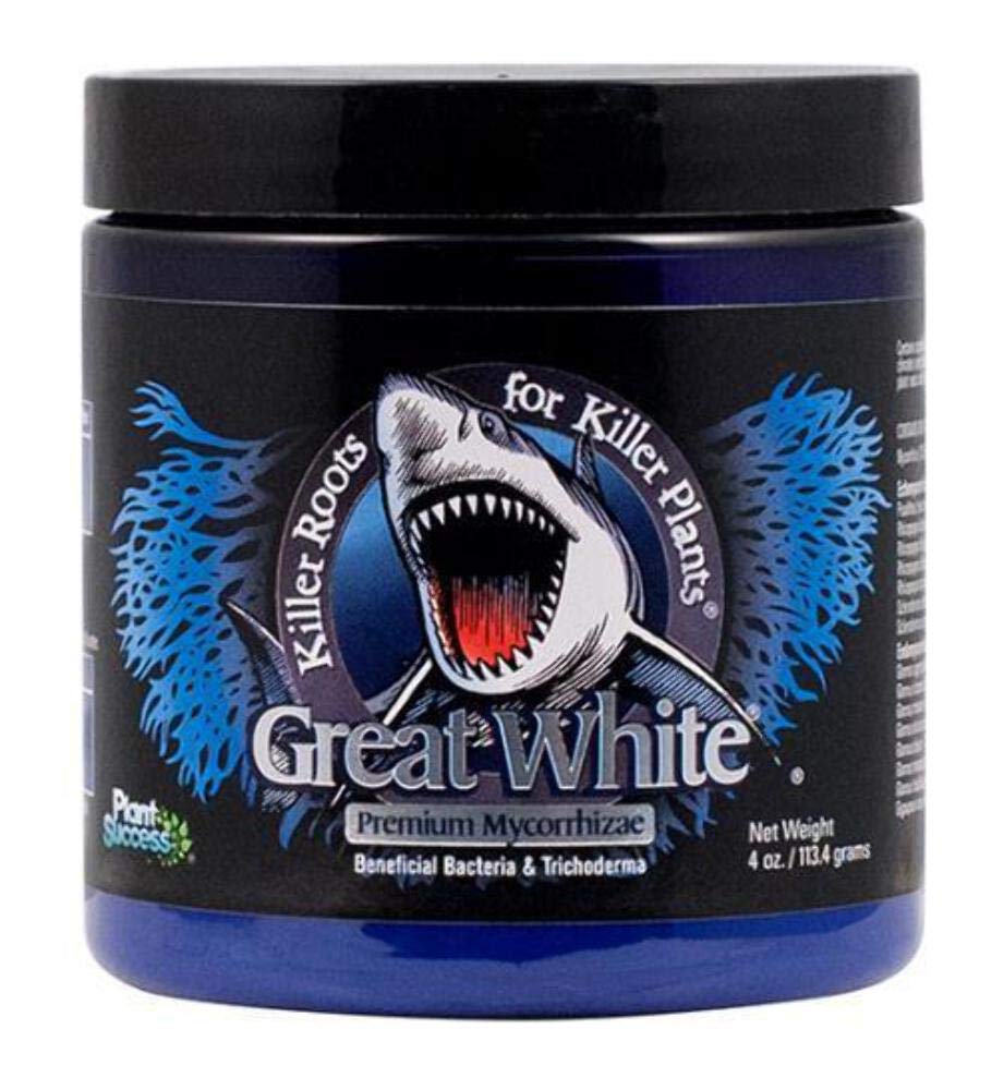 Buy Great White PRPSGW04 100049823 4 oz Mycorrhizae, 4 Ounce Big Foot ...