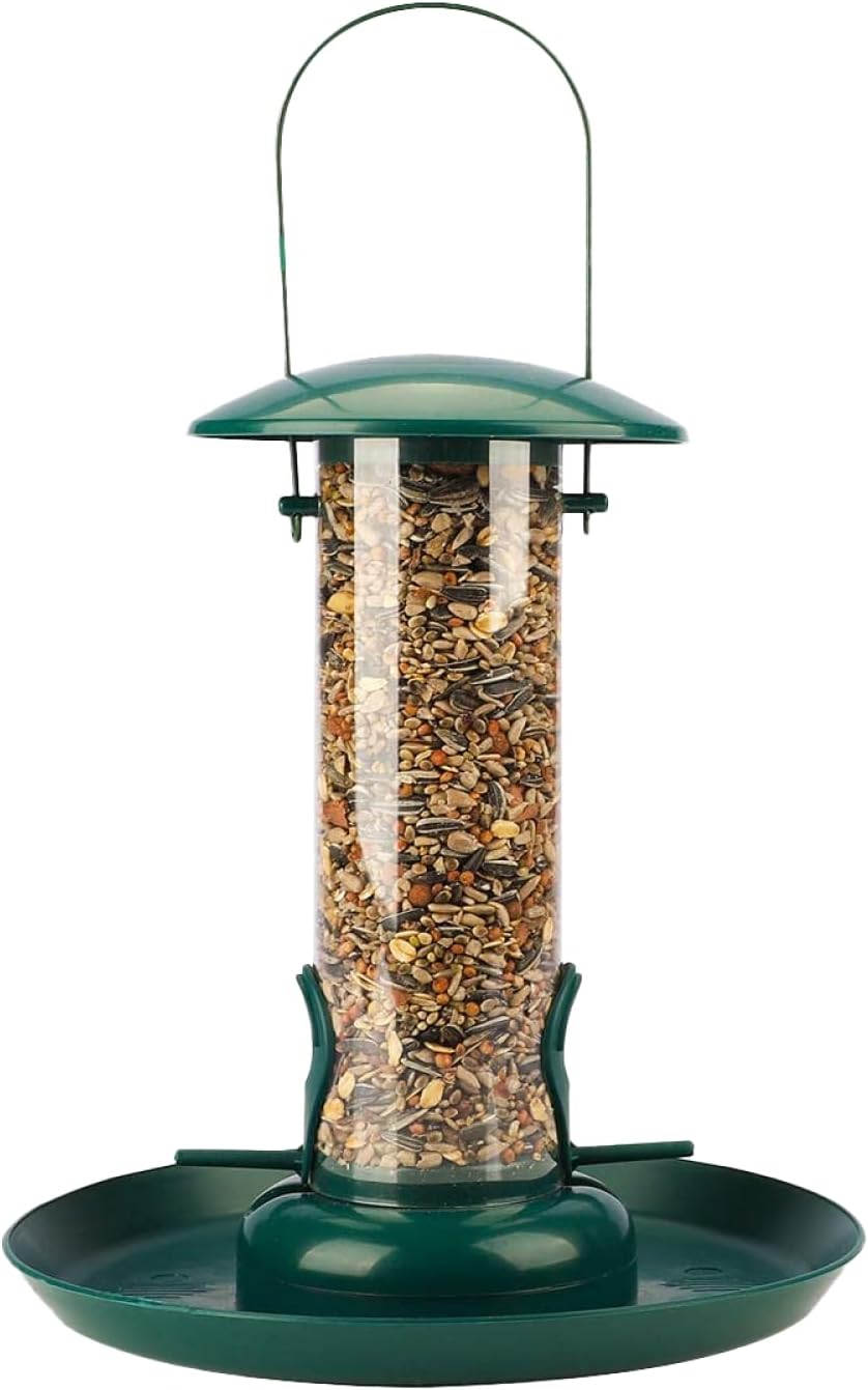 Amazon.com : WILDLIFE FRIEND I Grain Feeder With XL Plate, Green - Bird ...