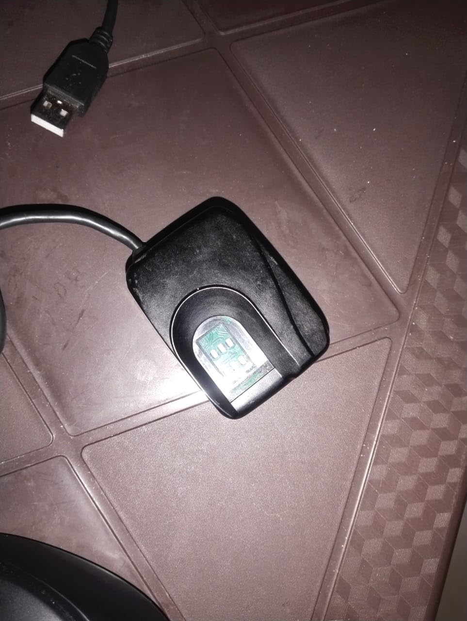 Futronic's FS80H USB2.0 Fingerprint Scanner : Copper: Amazon.in: Home ...