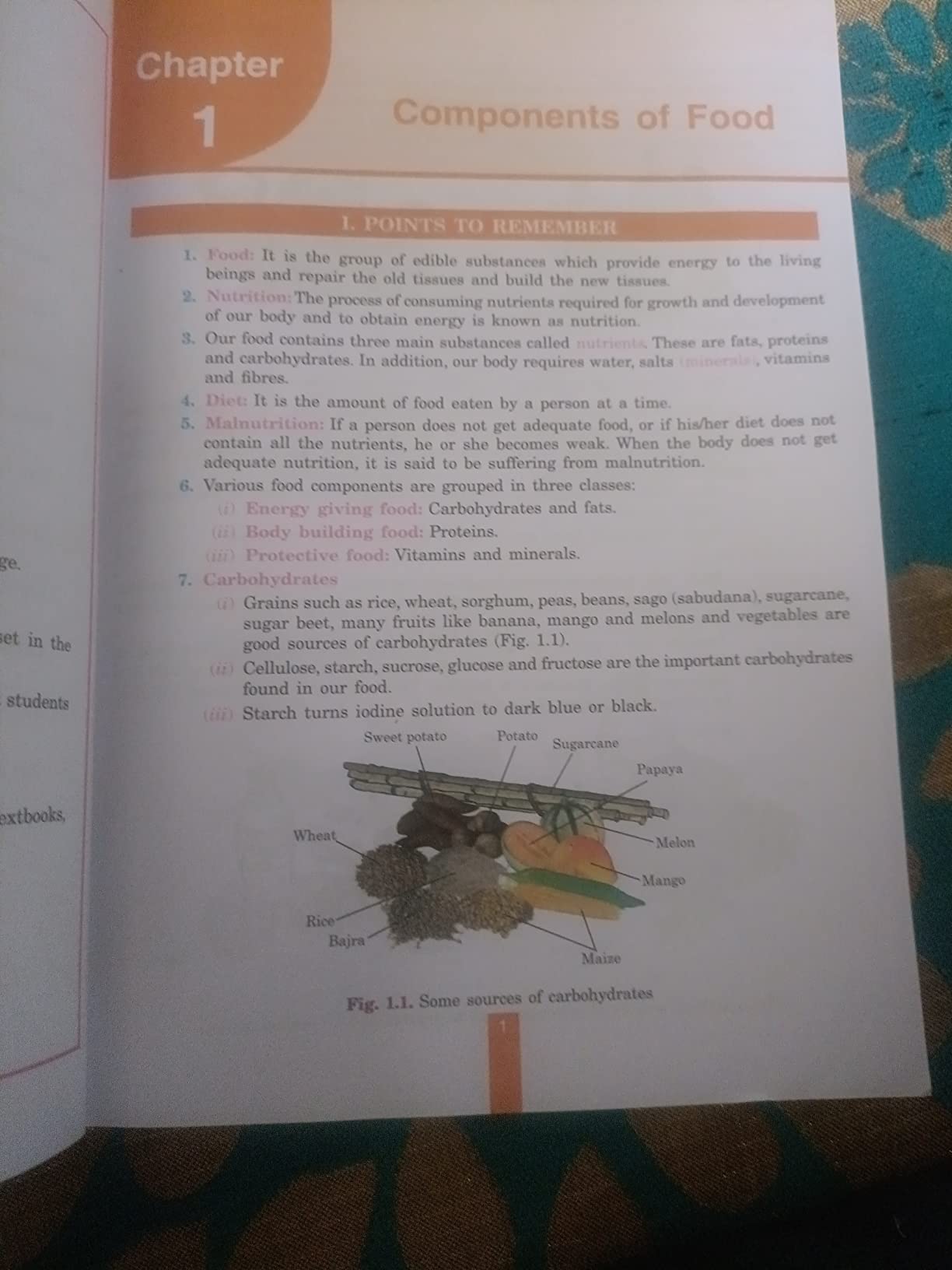 Golden Science: Based on NEW NEW NCERT for Class- 6 (For 2025 Final ...