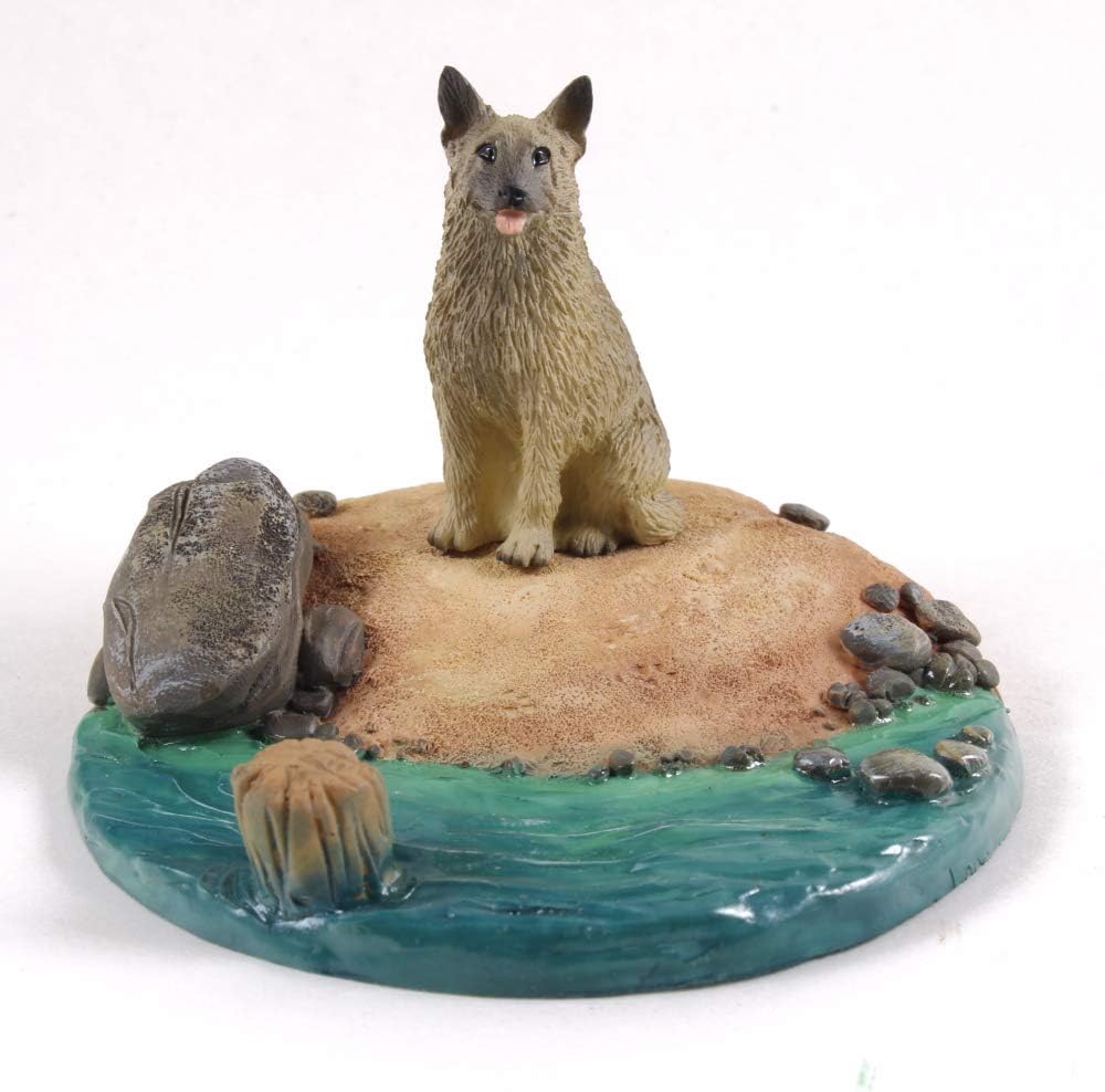 Amazon.com: Conversation Concepts Everyday Life Collectible Norwegian ...