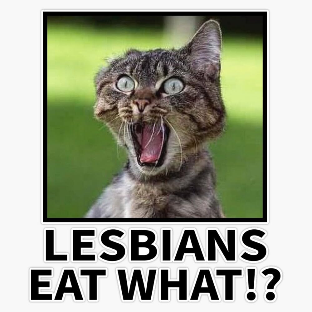 Amazon.com - Lesbians Eat What Funny Cat Meme Sticker Bumper Sticker ...