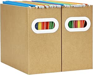 Amazon.com : Cardboard Hanging File Organizer,XiePiPiPaper Collapsible ...