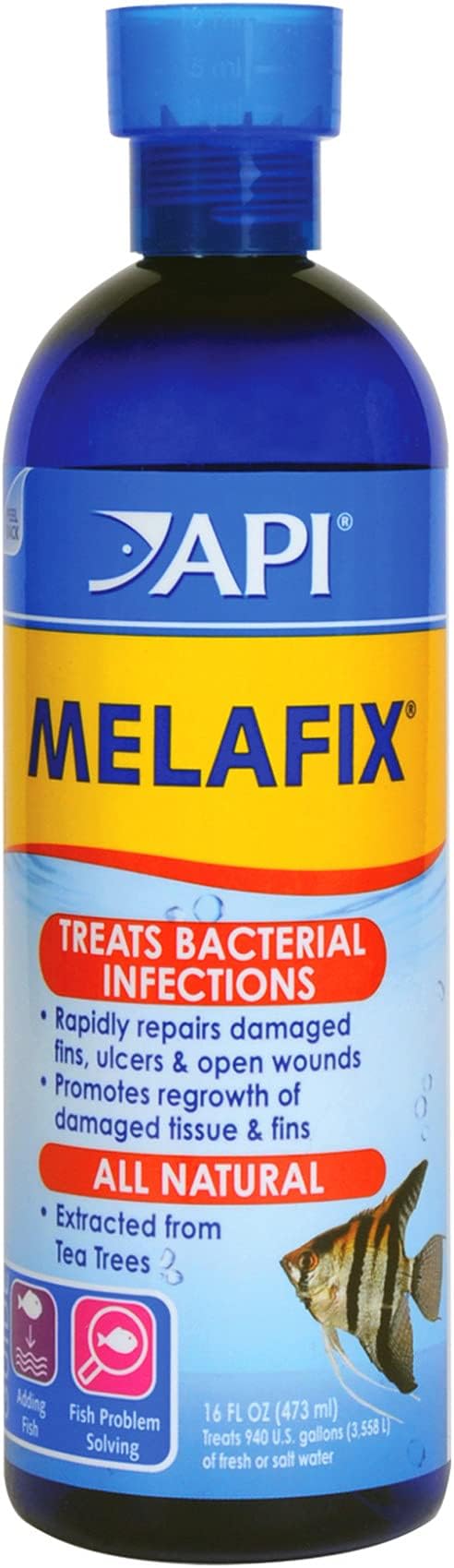 Amazon.com : API MELAFIX Freshwater Fish Bacterial Infection Remedy 16 ...
