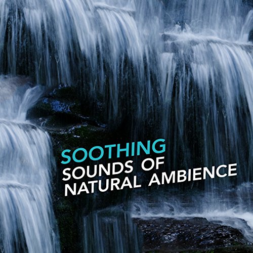 Soothing Sounds of Natural Ambience von Relaxing Nature Sounds & Nature ...