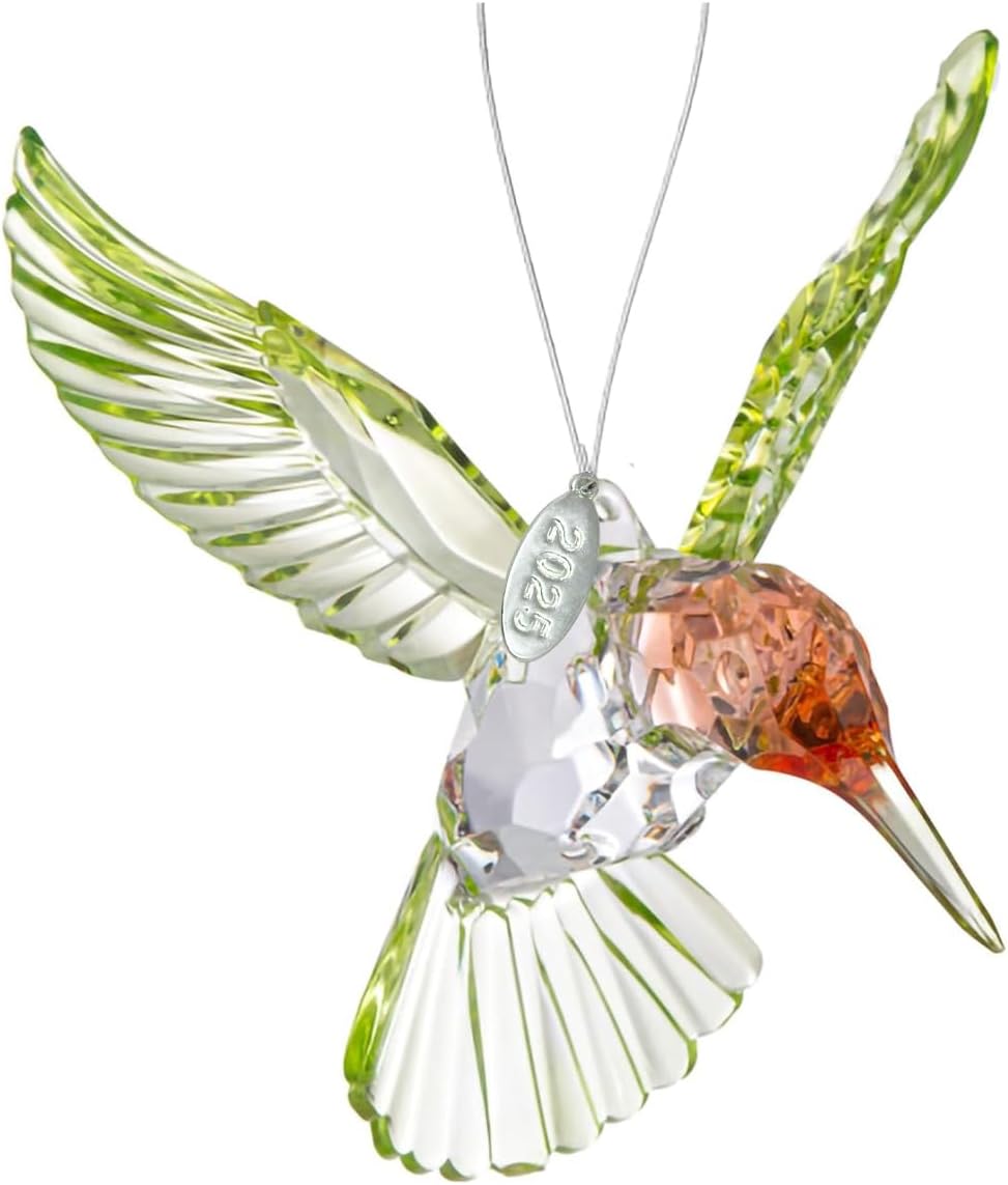 Amazon.com: Acrylic Hummingbird Ornament, Flat Hummingbird Hanging ...