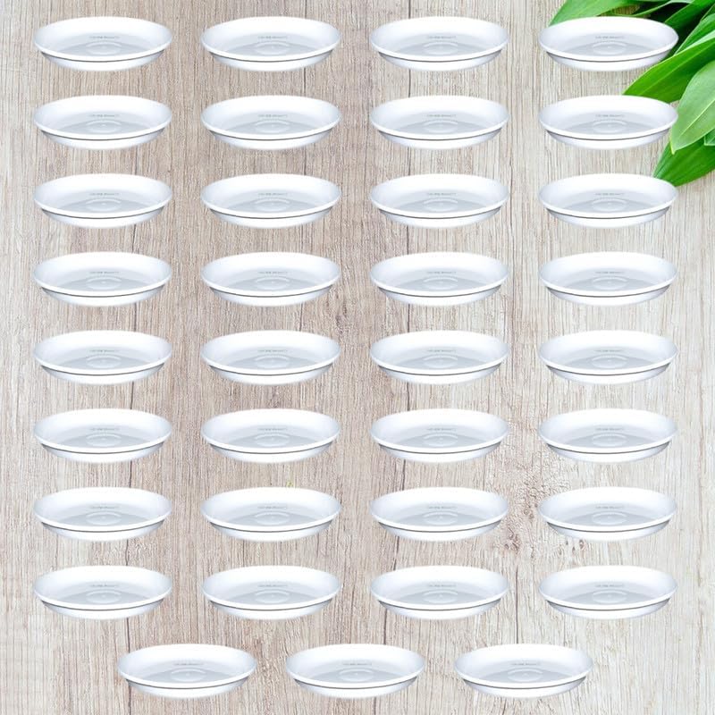 RGDECOR 6 Inches Wide - Pack of 8 - White Bottom Tray for Flower Pots ...