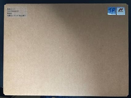 Amazon.co.jp: 未塗装・未組立対魔忍ユキカゼ 秋山 凜子 nomake ガレージキット ガレキ 17 TFO トレジャーフェスタ ...