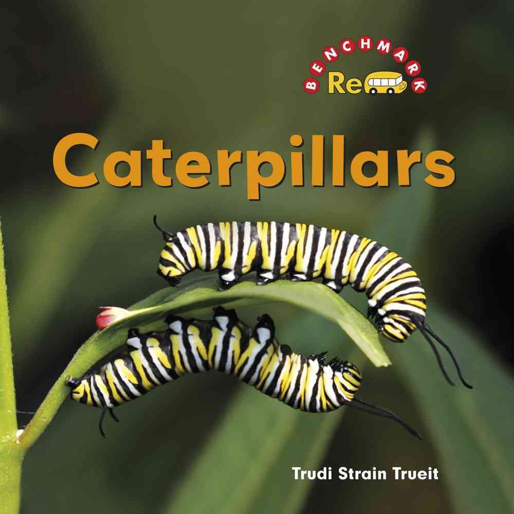 Caterpillars (Creepy Critters) : Trueit, Trudi: Amazon.es: Libros