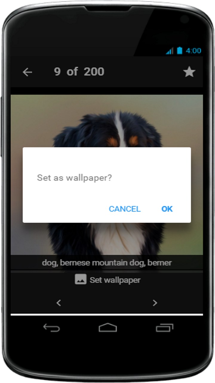 Cute Animal Wallpaper - App on Amazon Appstore