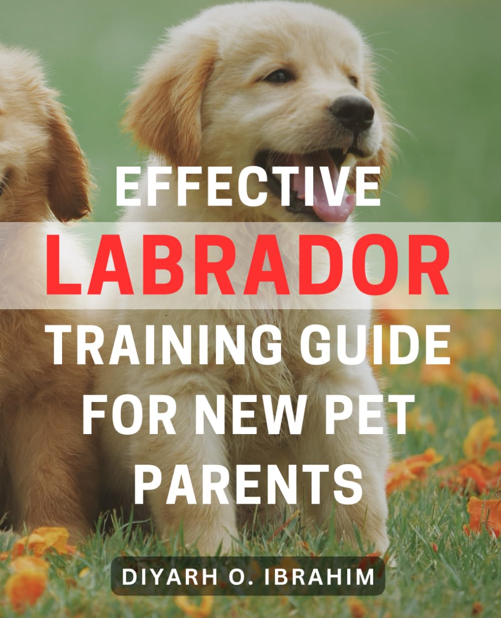 Effective Labrador Training Guide for New Pet Parents: Expert Tips and ...