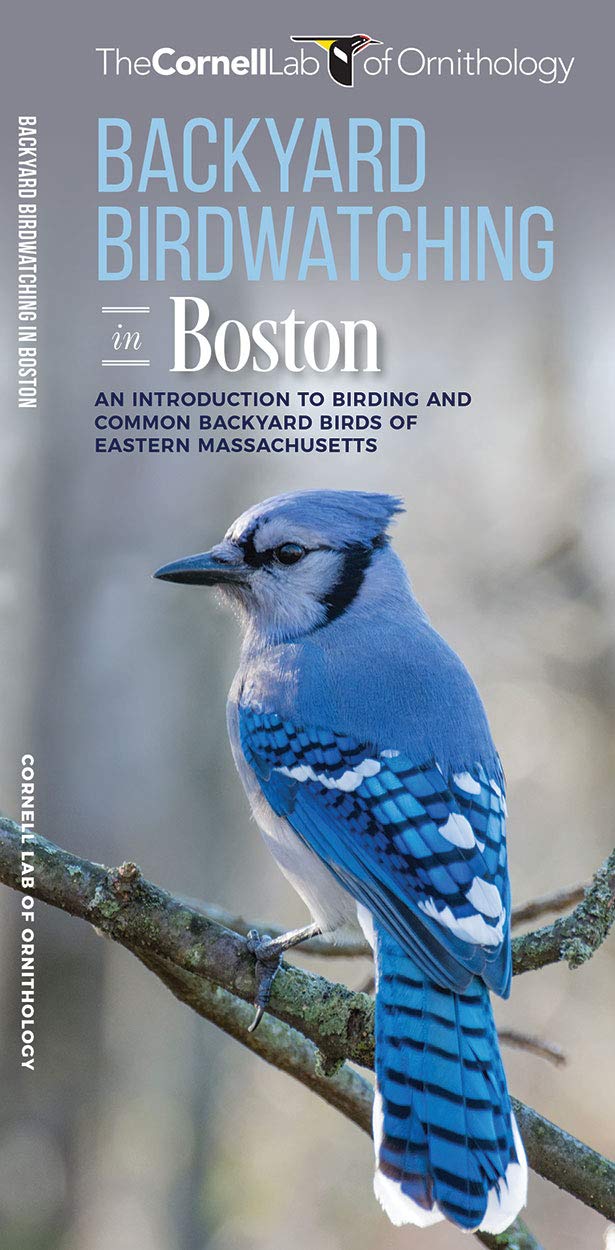 Backyard Birdwatching in Boston: An Introduction to Birding and Common ...