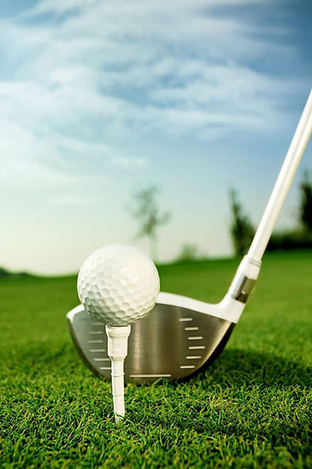 Amazon.com: MaiYiYi Golf Diamond Painting by Numbers 5D Full Round ...