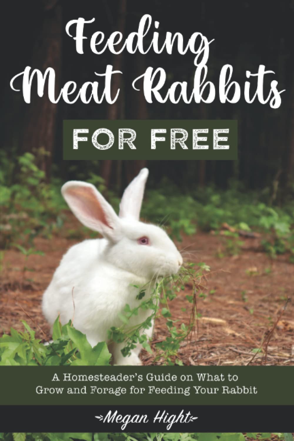 Feeding Meat Rabbits for Free: A Guide to Growing and Foraging for ...