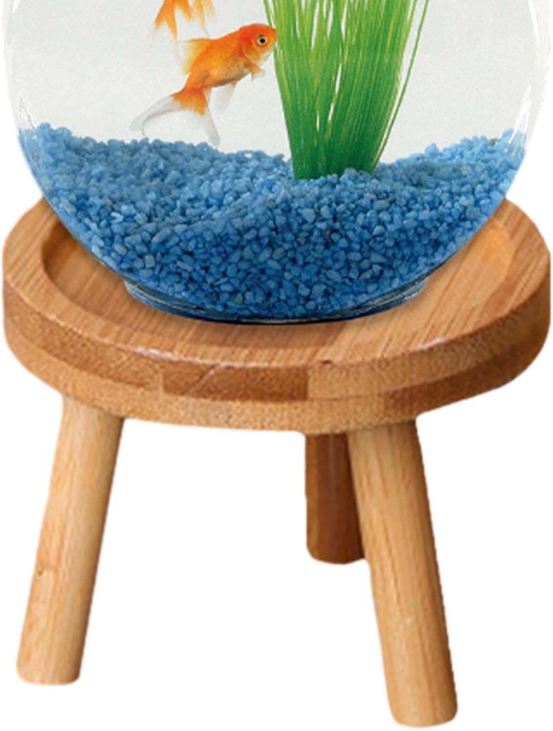 Amazon.com: Round Plant Stand - Indoor Flowerpot Riser, Bonsai Support ...