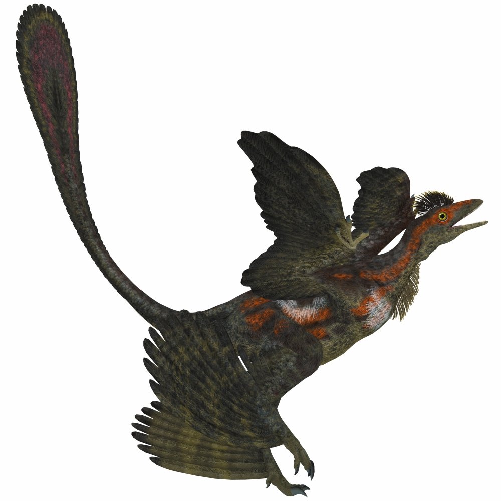 Cretaceous Flying Dinosaurs