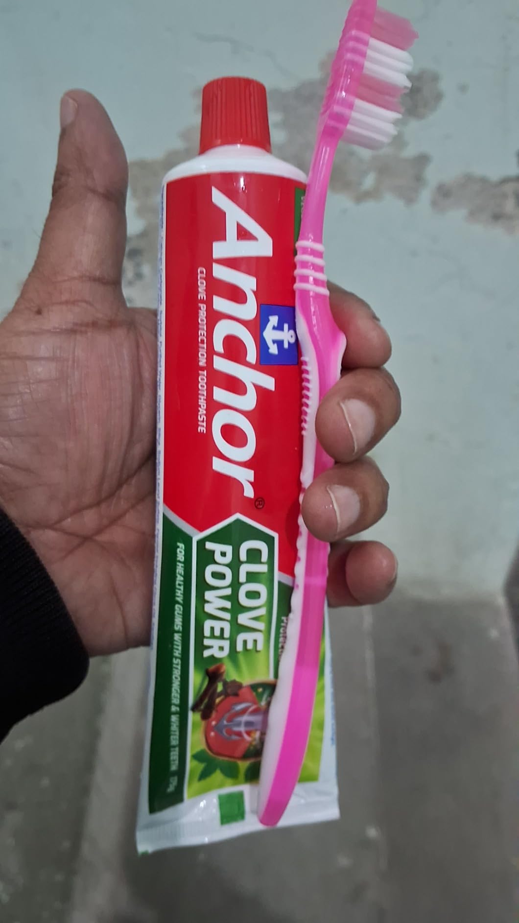 Anchor Clove Power Toothpaste 175 gm Pack : Amazon.in: Health ...