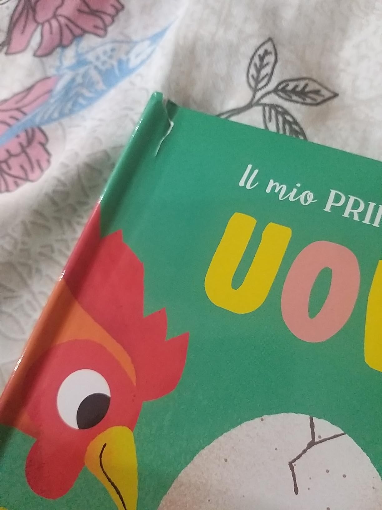 Amazon.it: Uova. Il mio primo pop-up. Ediz. a colori - Matthews, Mel ...