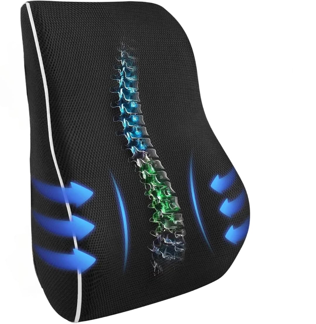 SARTE Back Support for Chair Premium Memory Foam Lumbar Support Cushion ...