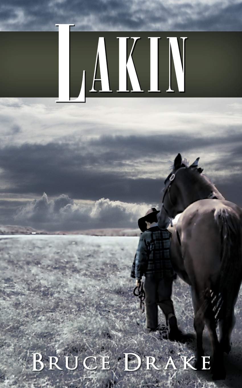 Lakin: Drake, Bruce: 9781452070940: Amazon.com: Books