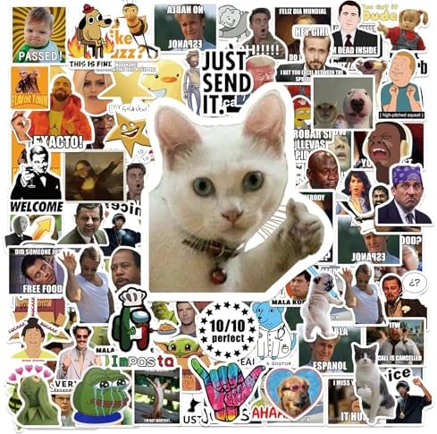 Amazon.com: Rokslide 100 pcs Fun Meme Stickers - Pop Culture Stickers ...