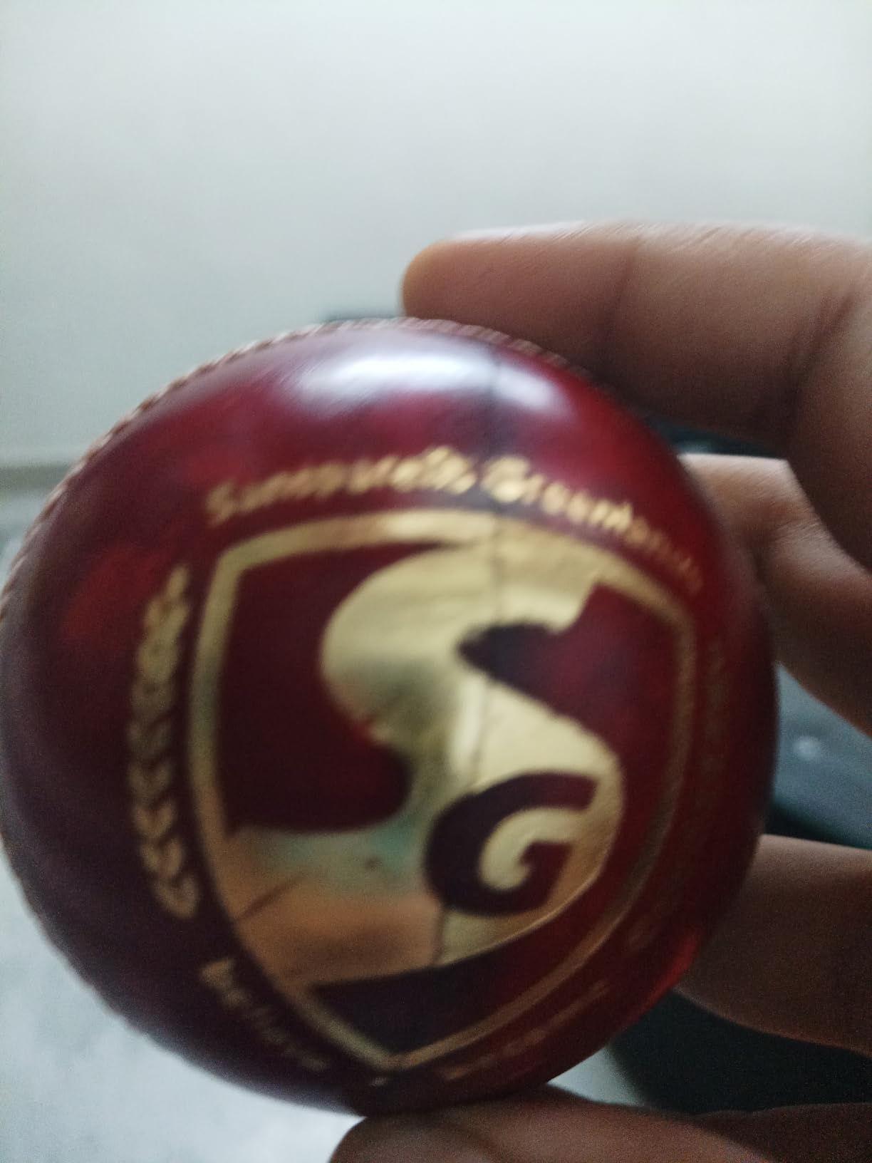 SG01CR120019 Leather Cricket Ball, (Multicolour) : Amazon.in: Sports ...