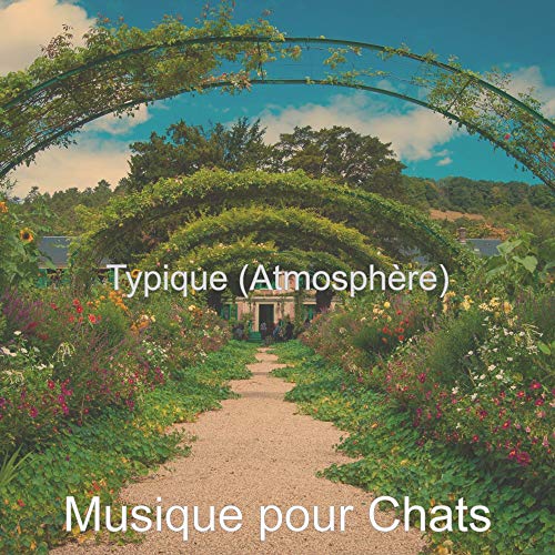 Typique (Atmosphère) de Musique pour Chats en Amazon Music Unlimited