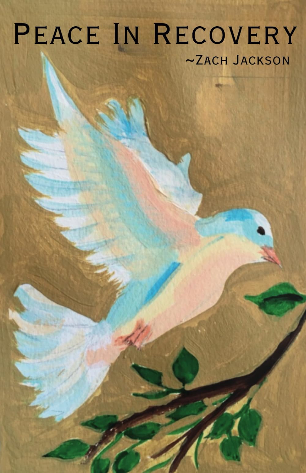 Peace In Recovery: Jackson, Zach: 9798345024539: Amazon.com: Books